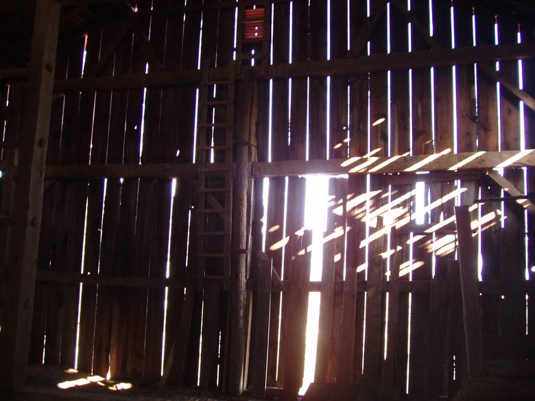 Photo #5309
