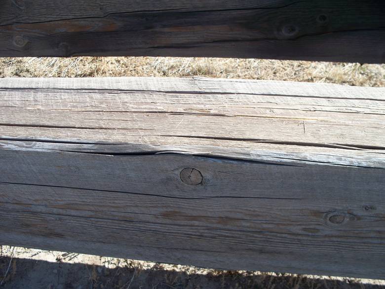 Photo #7908 - Cracked Timber